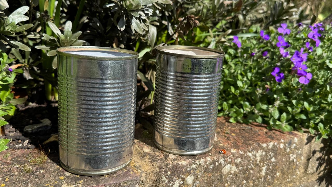 Homeowners are being urged to use tin cans in their gardens (really ...