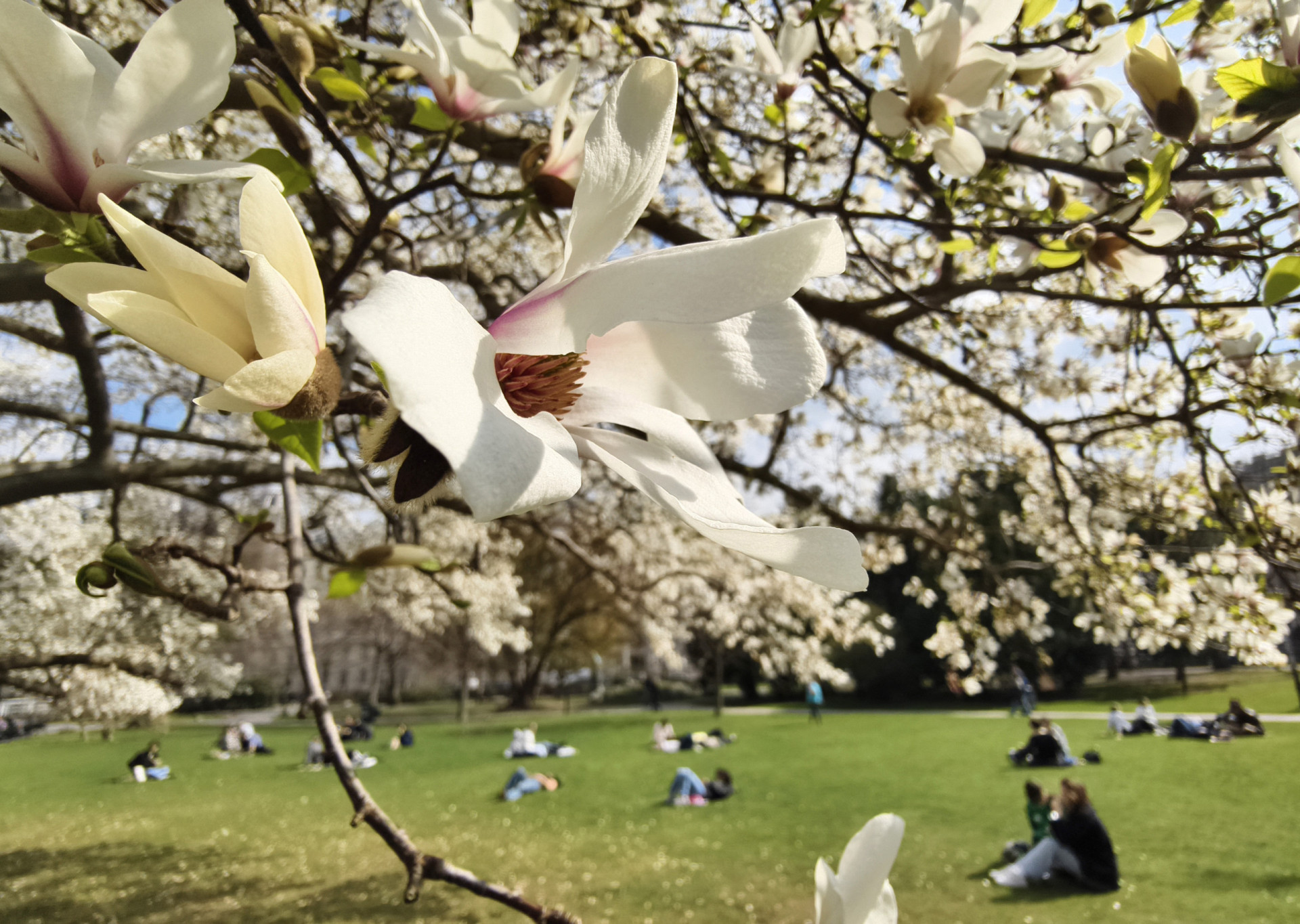 Top tips to make the most of springtime