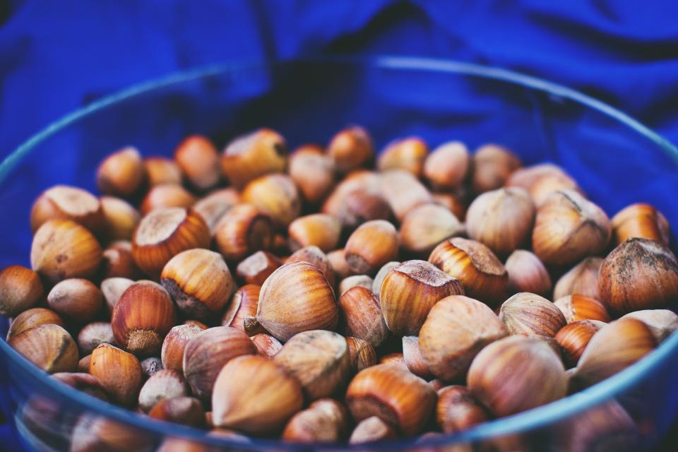 How hazelnuts can affect your body if you eat them regularly
