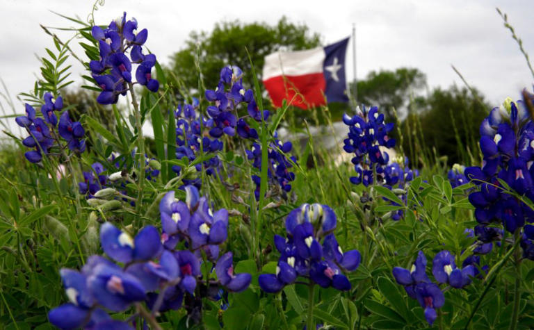 Where to find unique spring festivals, events in Texas in 2026