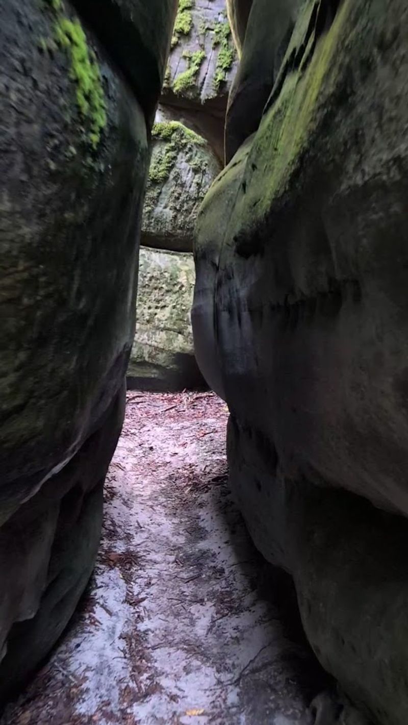 Virginia’s best-kept geological secret is a 400-million-year-old rock maze