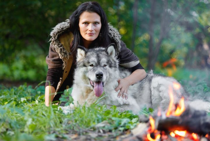 Everything you need to know about a Native American dog