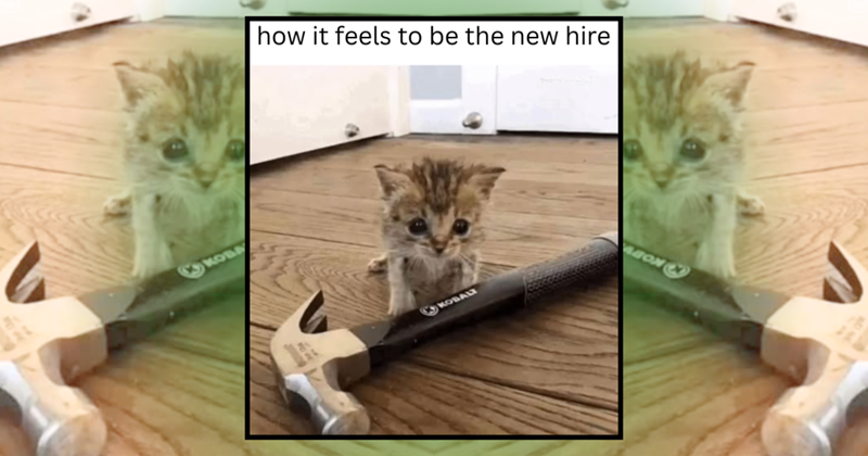 31 employee burnout memes to get you through the mid-week work slump