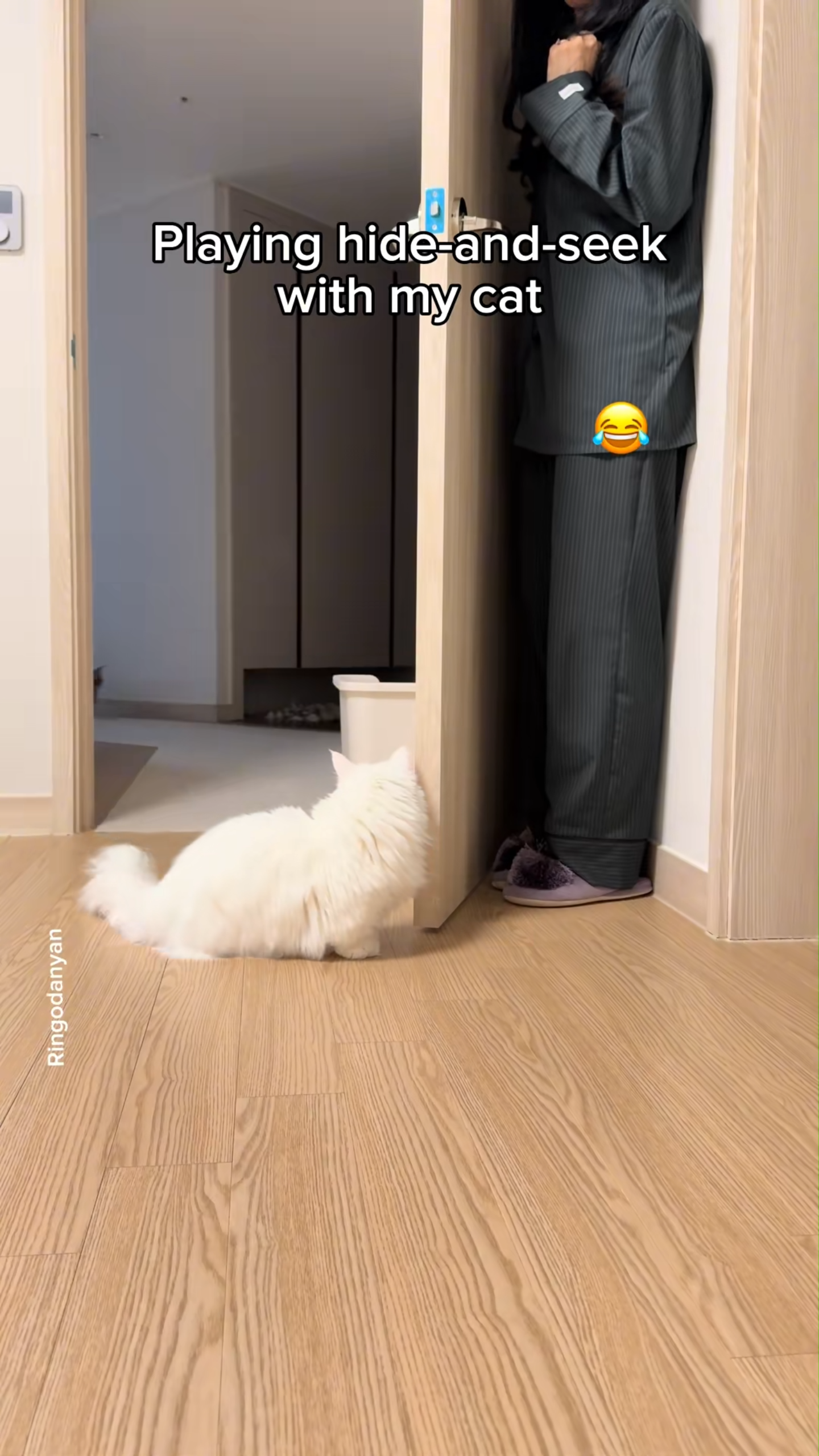 The cutest cat sounds you will hear today