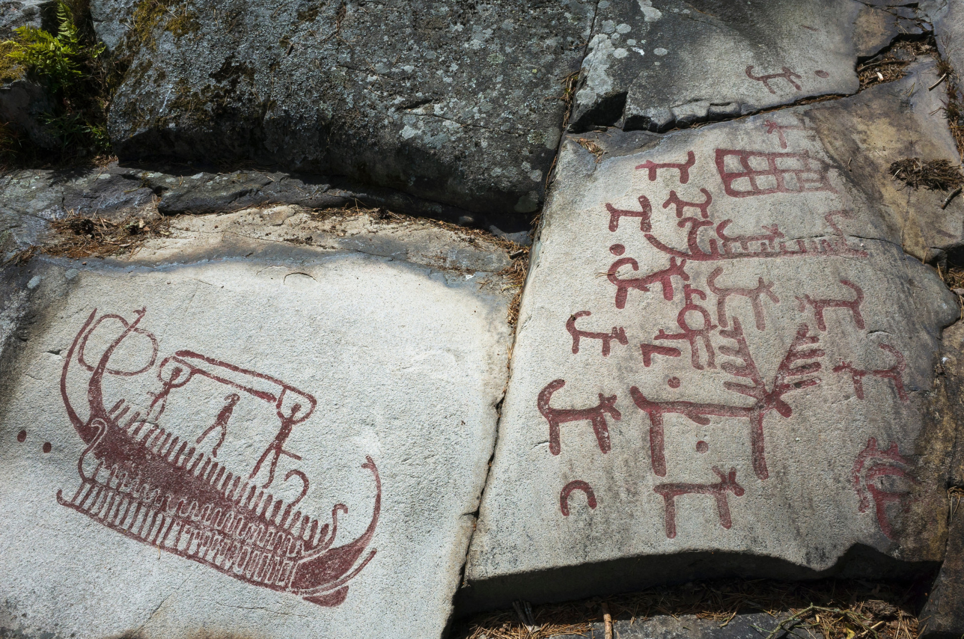 The elaborate world of Viking funerals