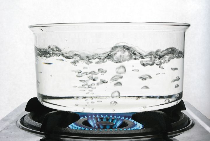 15 easy tips to get rid of drain flies