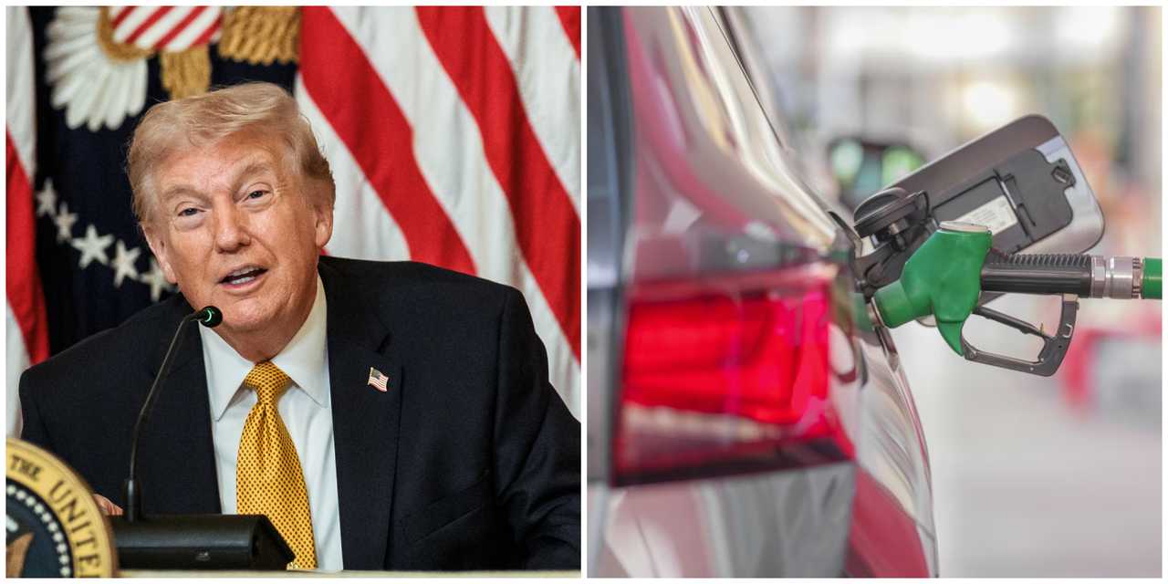 Three-time Trump voter's gas price outrage goes viral: 'Apparently, I'm ...
