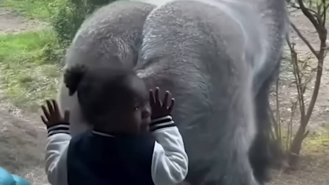 This baby tried to eat everything in sight - and it gets worse