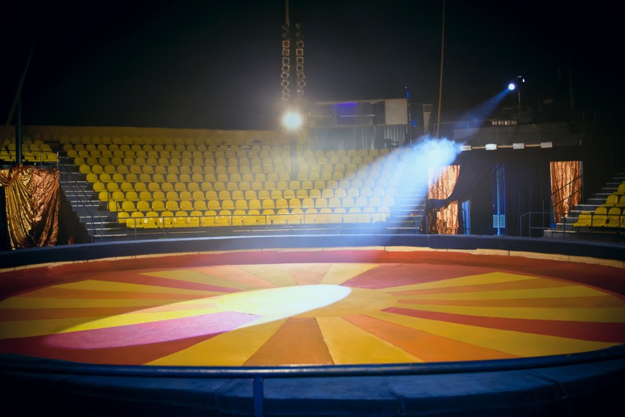 Circus comes to Albany for World Circus Day in April