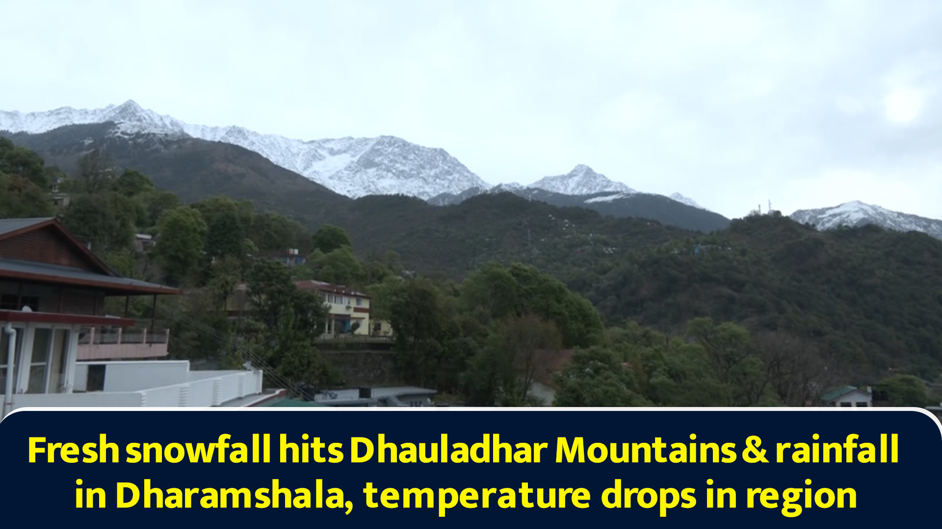 Fresh snowfall hits Dhauladhar mountains & rainfall in Dharamshala ...