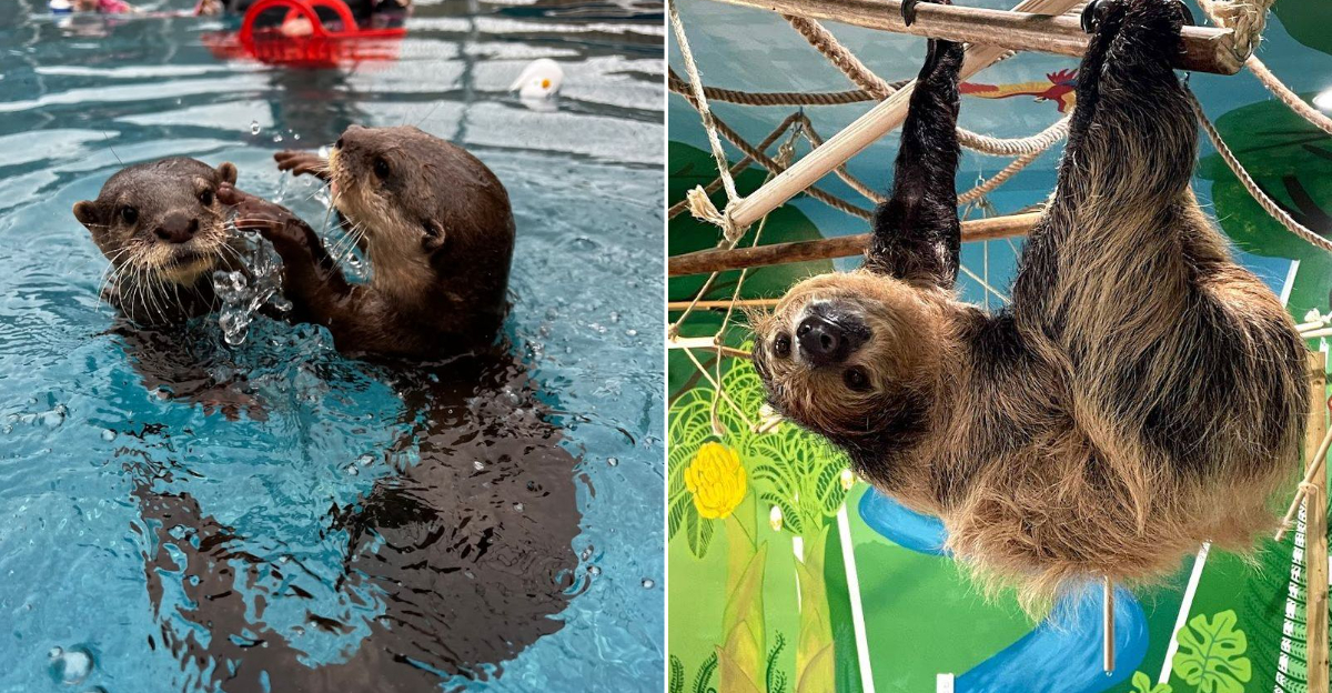 This Delaware animal experience is packed with otters, kangaroos, and ...