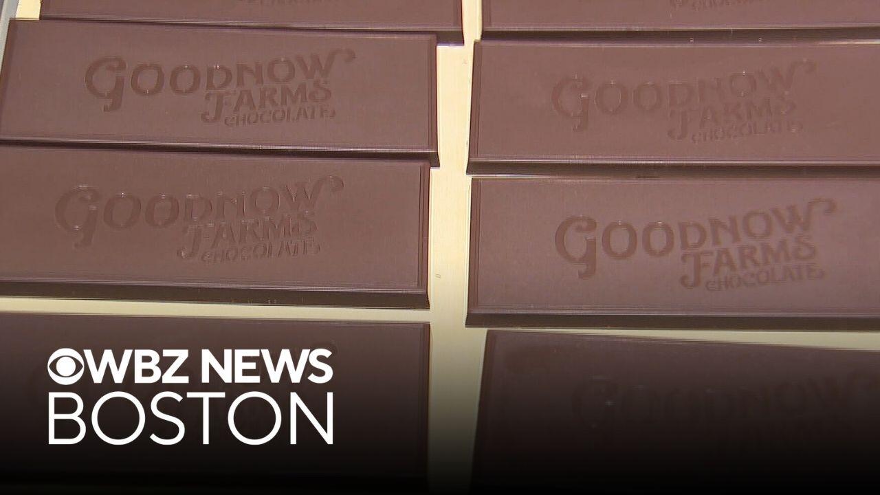 See how award-winning chocolate is made at a Massachusetts farm