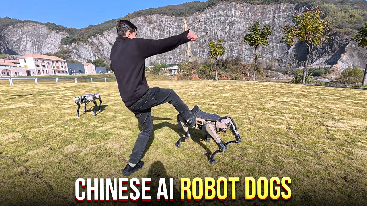 Robotic dogs from China: Performance, features, and real-world test