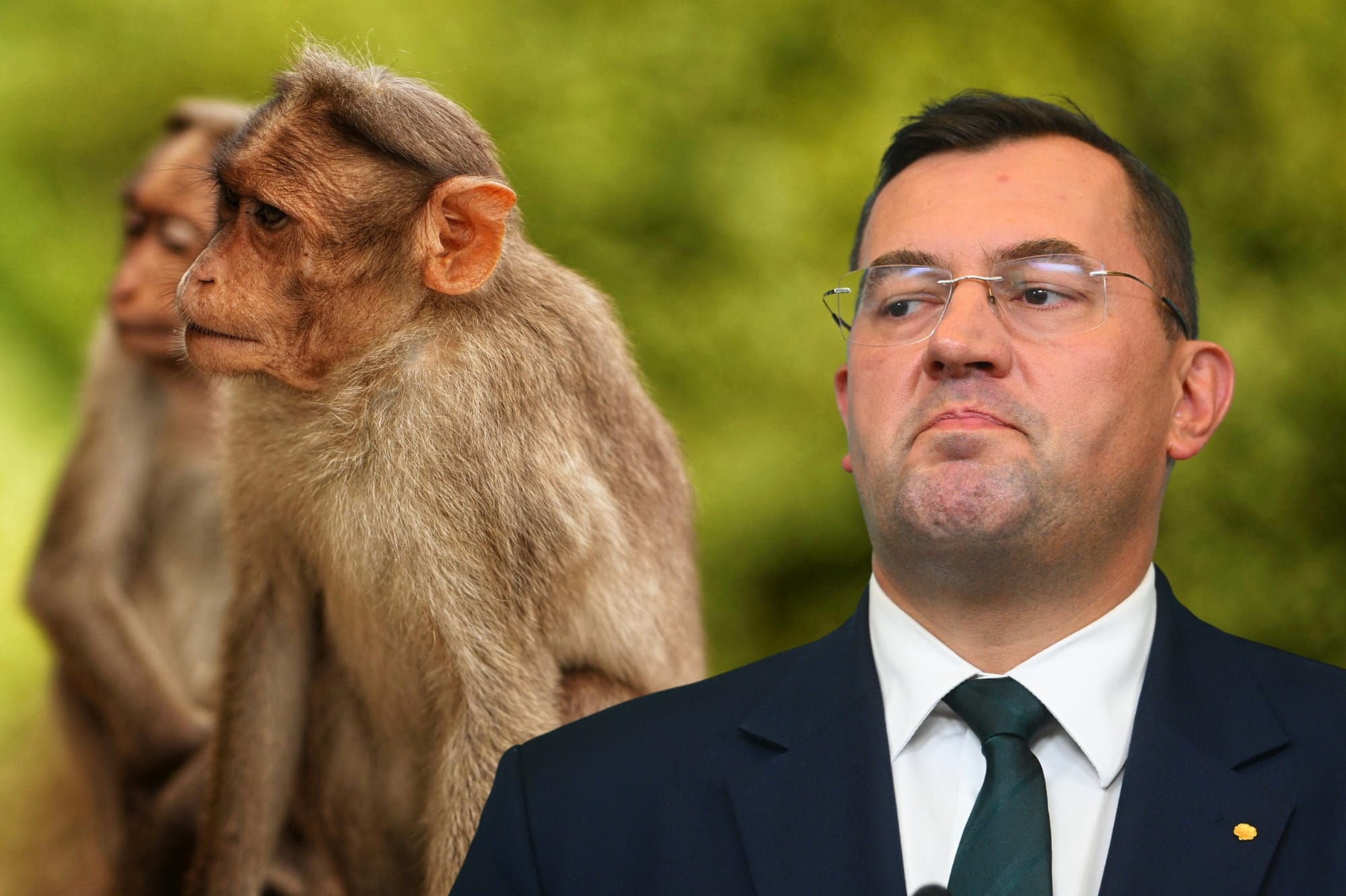 Afrykańscy delegaci wyzywani od "małp" i "czarnuchów". Minister ...