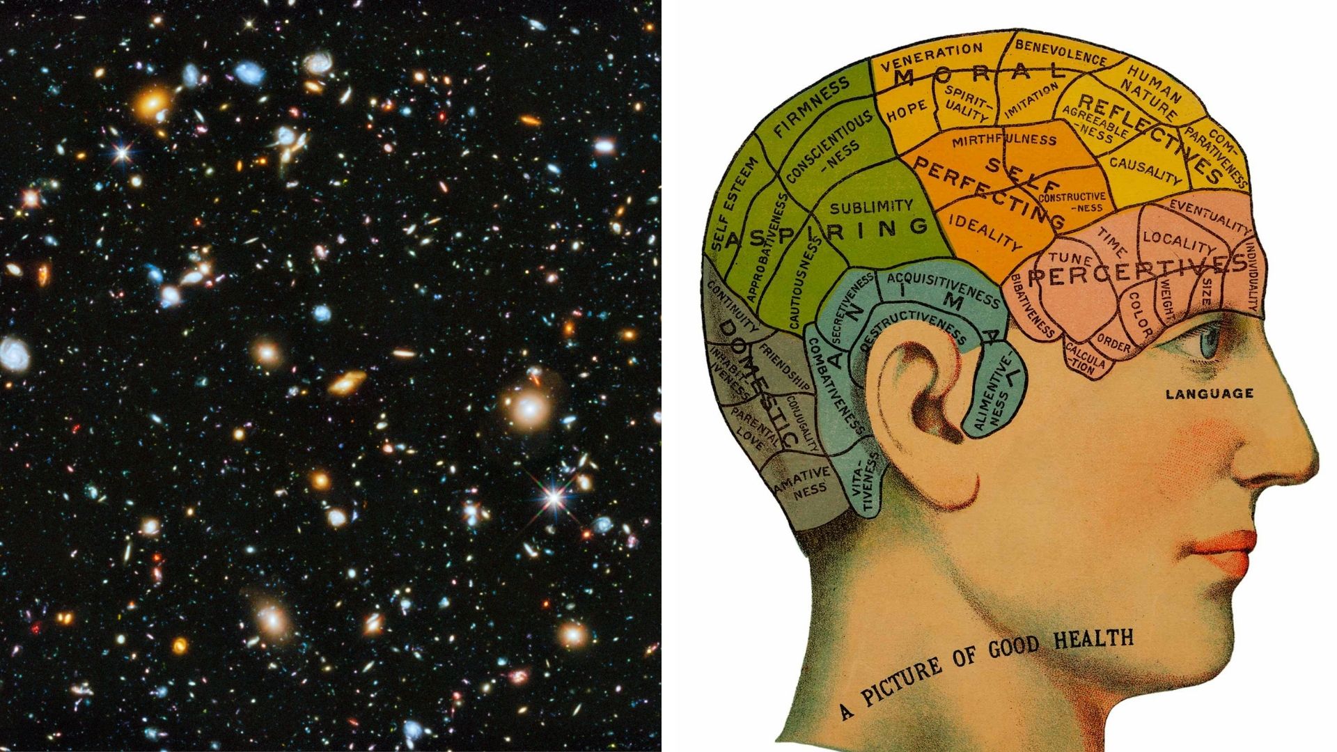 30 scientific 'facts' that were later proven wrong