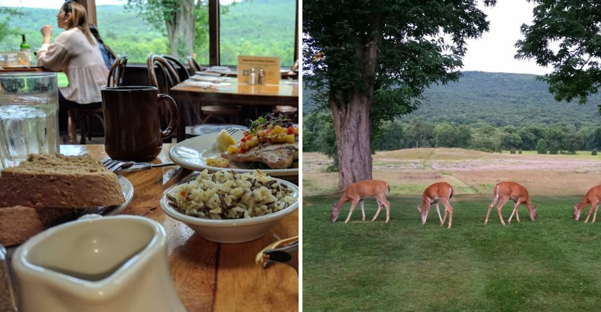 This remote New Jersey landmark lets you watch wild deer from your ...