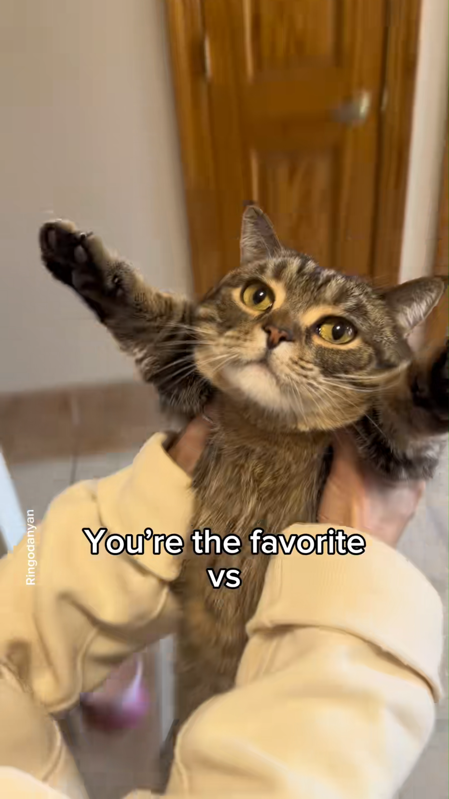 Mom hug vs dad hug through a cat’s eyes