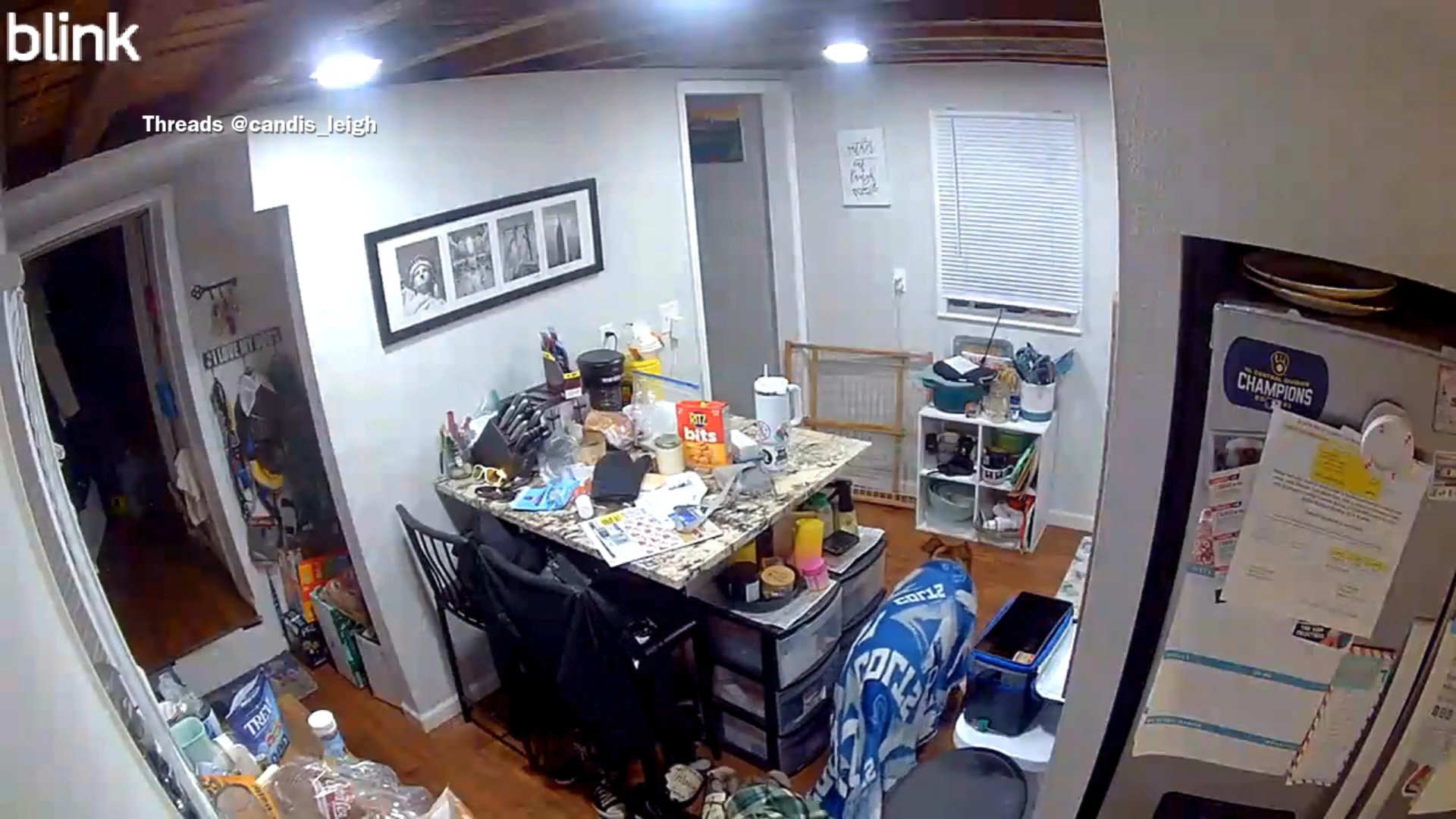 CCTV alerts woman that someone’s in the kitchen—not ready for what she sees