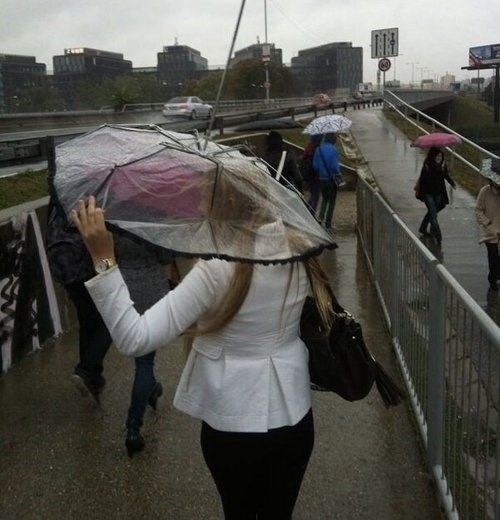 20 photos where common sense took a wrong turn