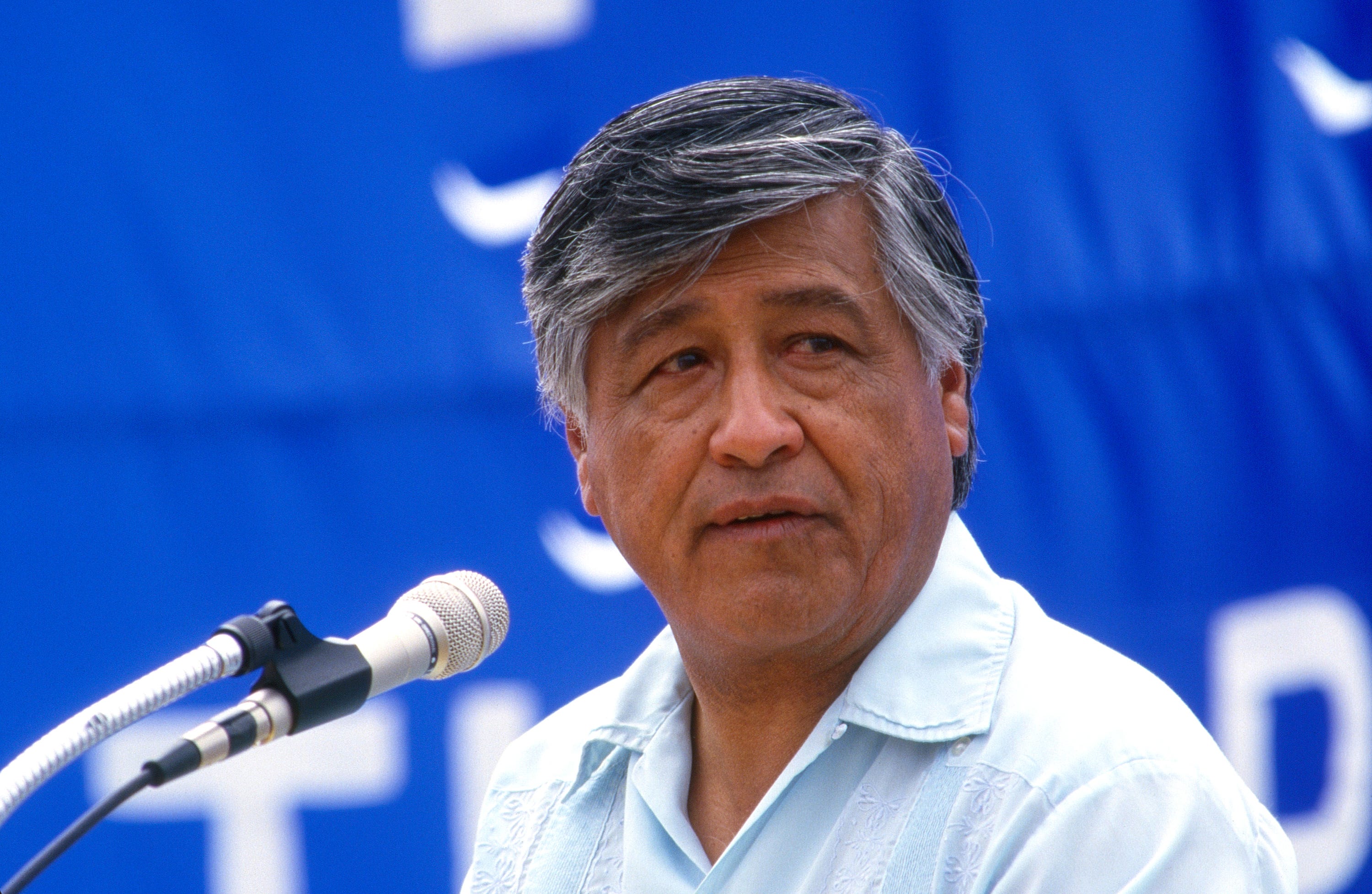 Chávez celebrations canceled in Texas after sexual abuse allegations ...