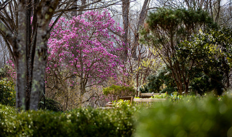 Earth Day and spring calendar: activities in Henderson County