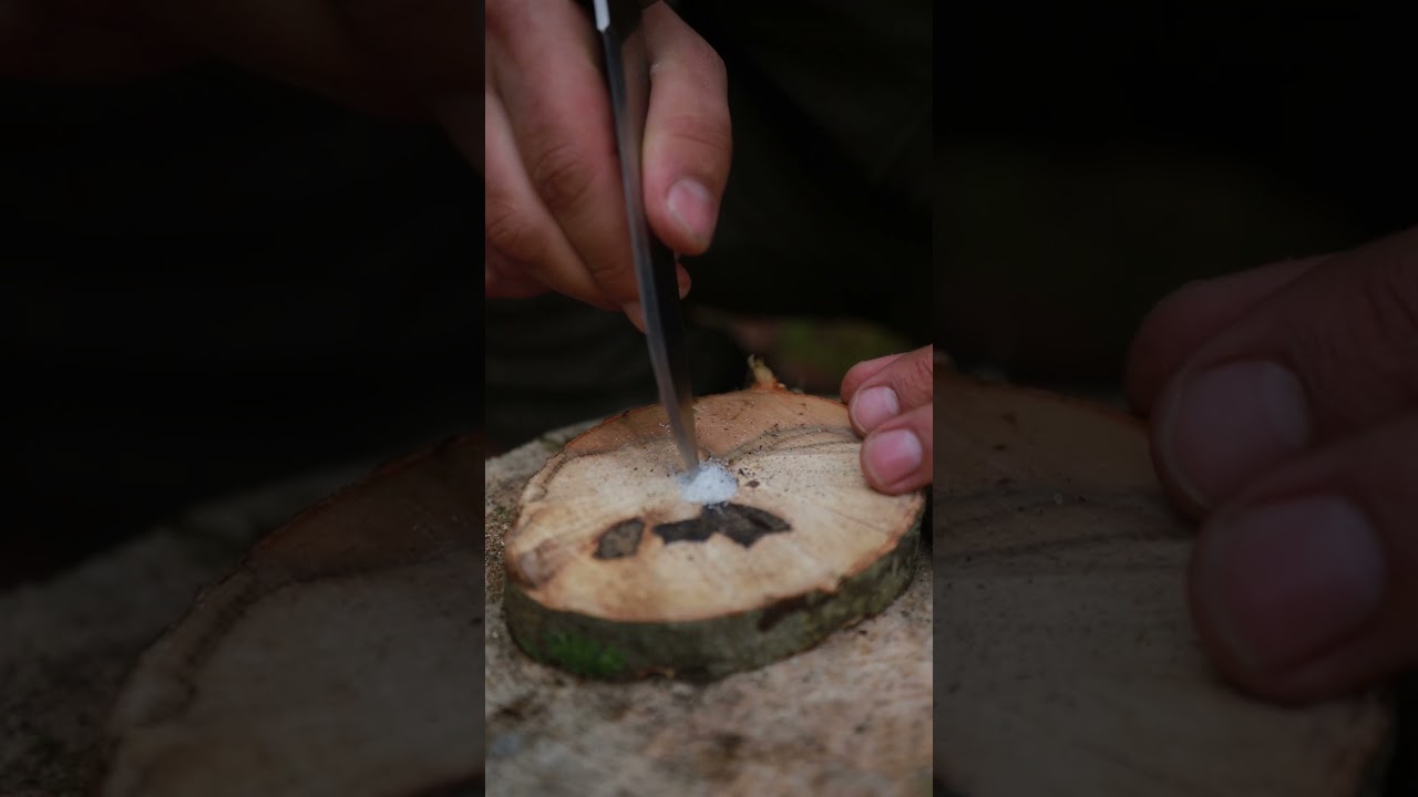 Bushcraft solo #camping #bushcraft #survival #building