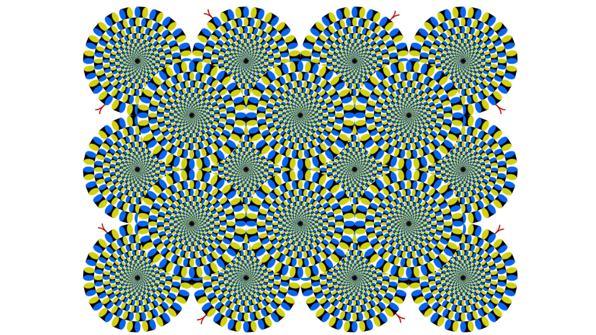 Optical illusions that still fool scientists