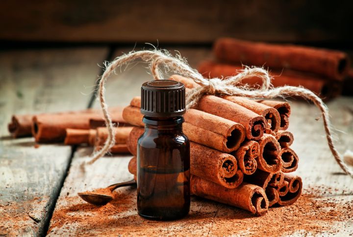 Keep snakes out of your garden with cinnamon oil