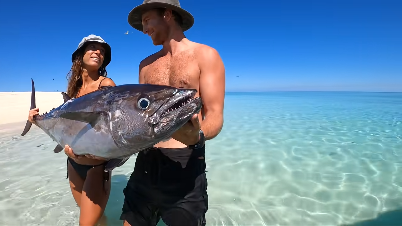 Crocodile tracks on the beach… then a hammerhead appeared