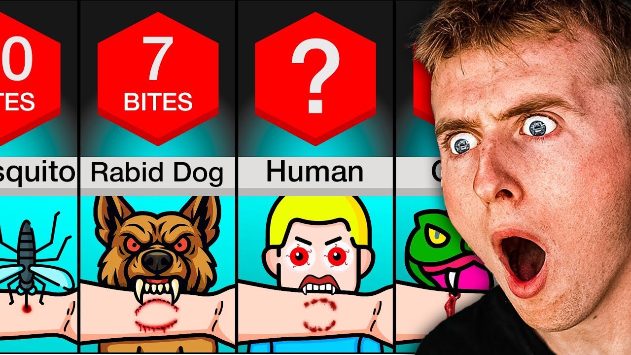 How many bites would it take to kill a human
