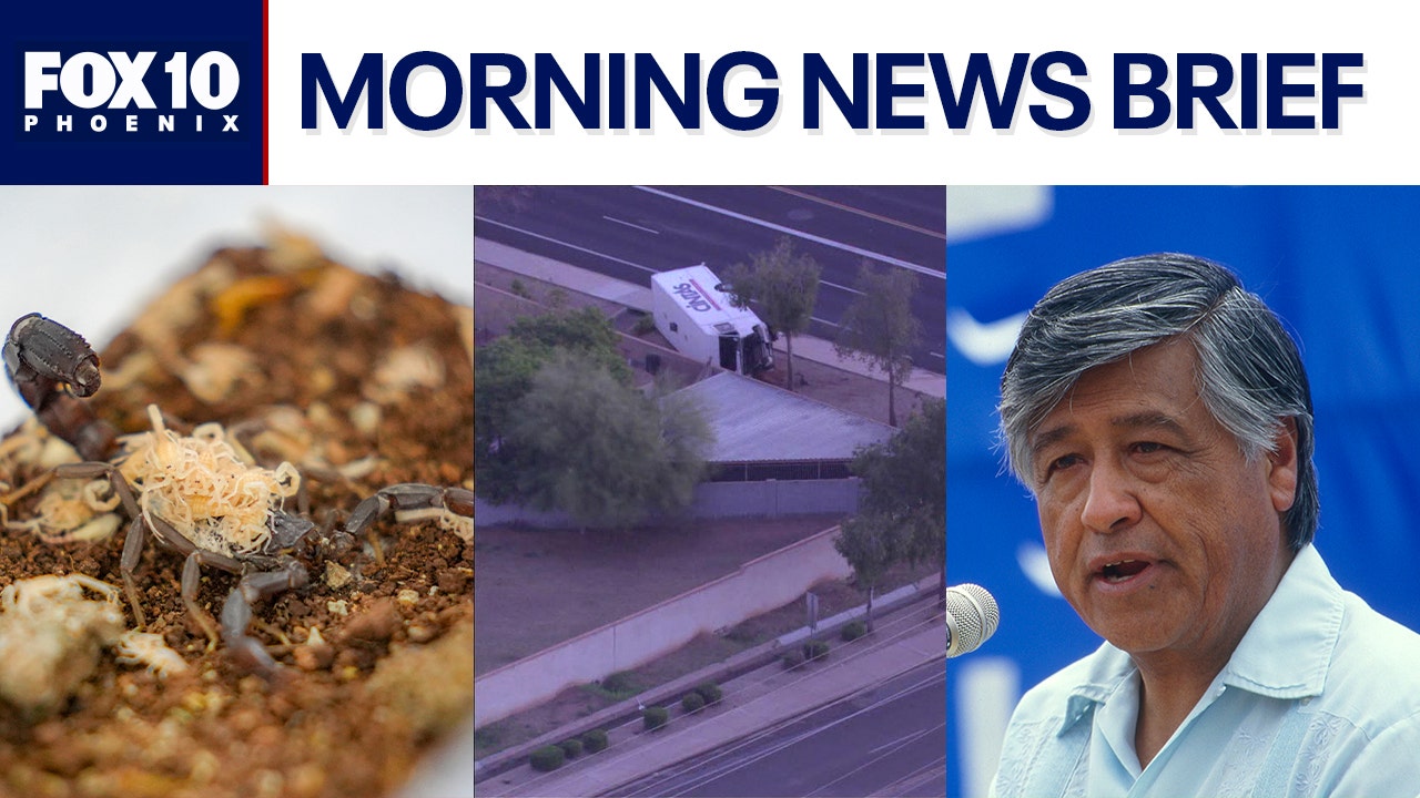 Heat wave kickstarts scorpion surge; new allegations made against Cesar ...