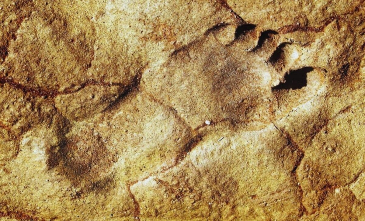 Scientists found 120,000-year-old footprints where humans were never ...