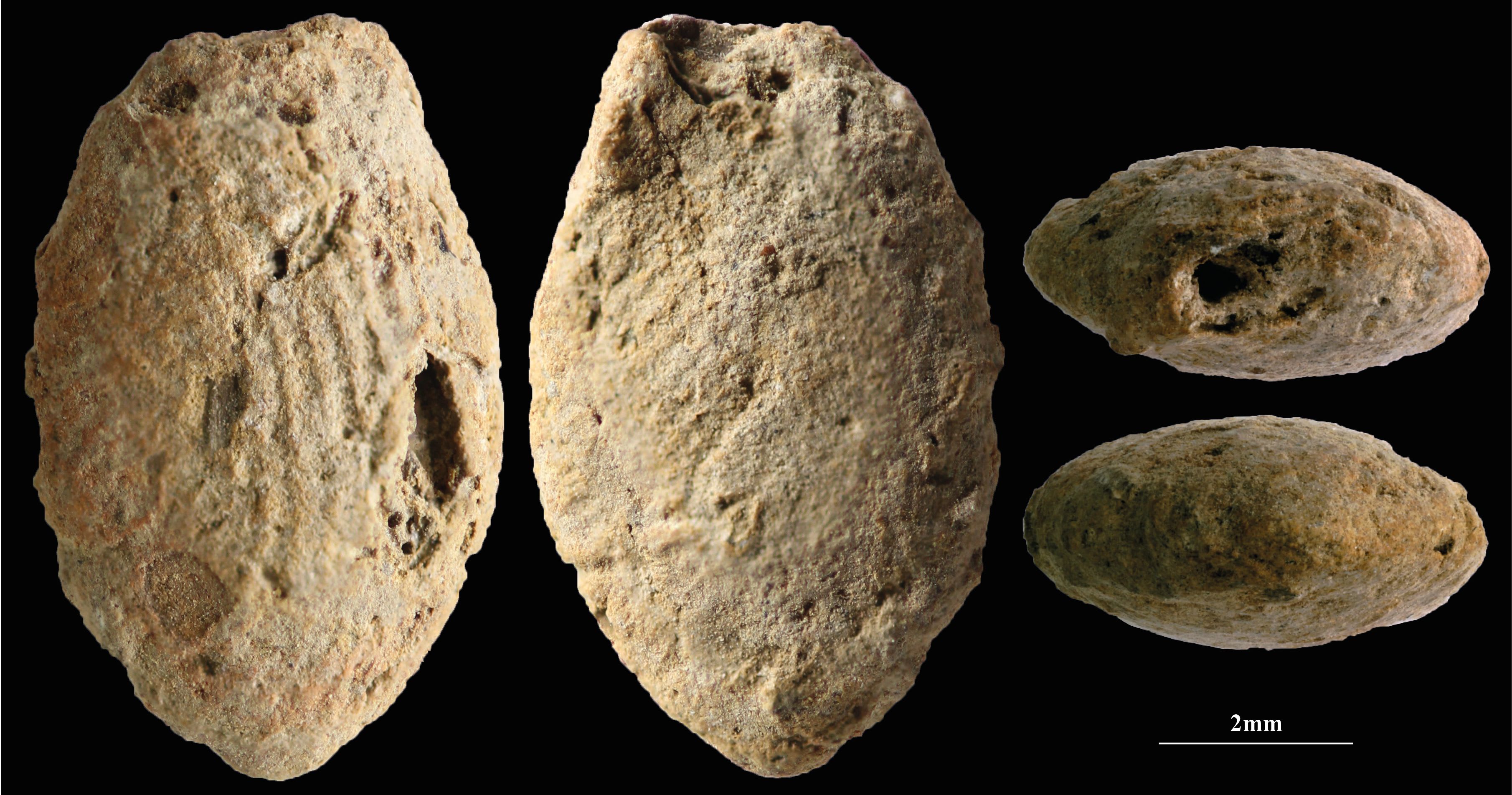 Ancient clay beads found in northern Israel rewrite timeline of ...