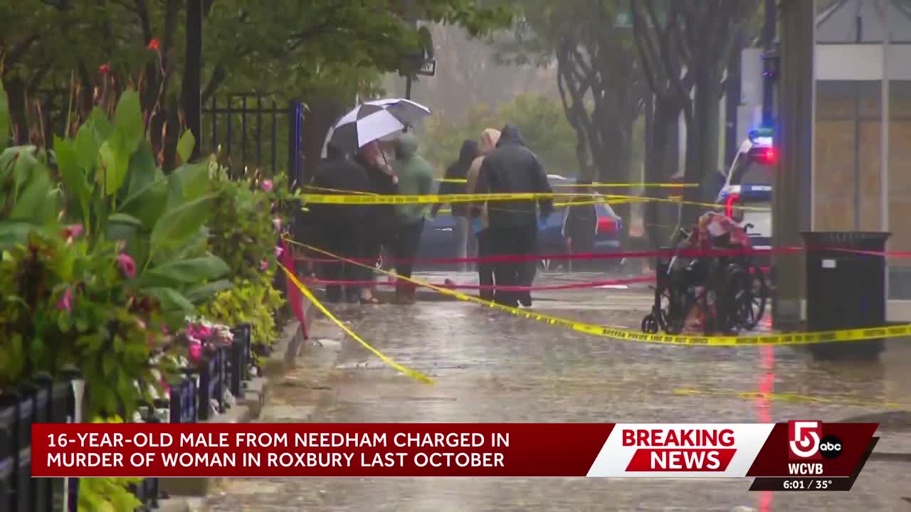 Needham teen charged with 2025 murder of 61-year-old woman