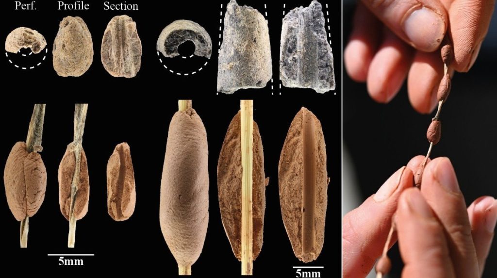 Ancient fingerprints reveal children shaped clay 15,000 years ago