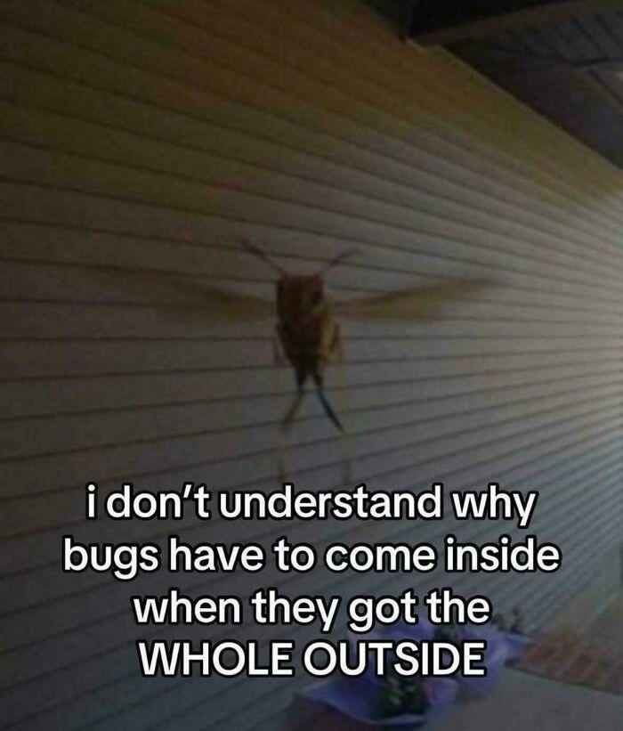 98 memes that are way too accurate