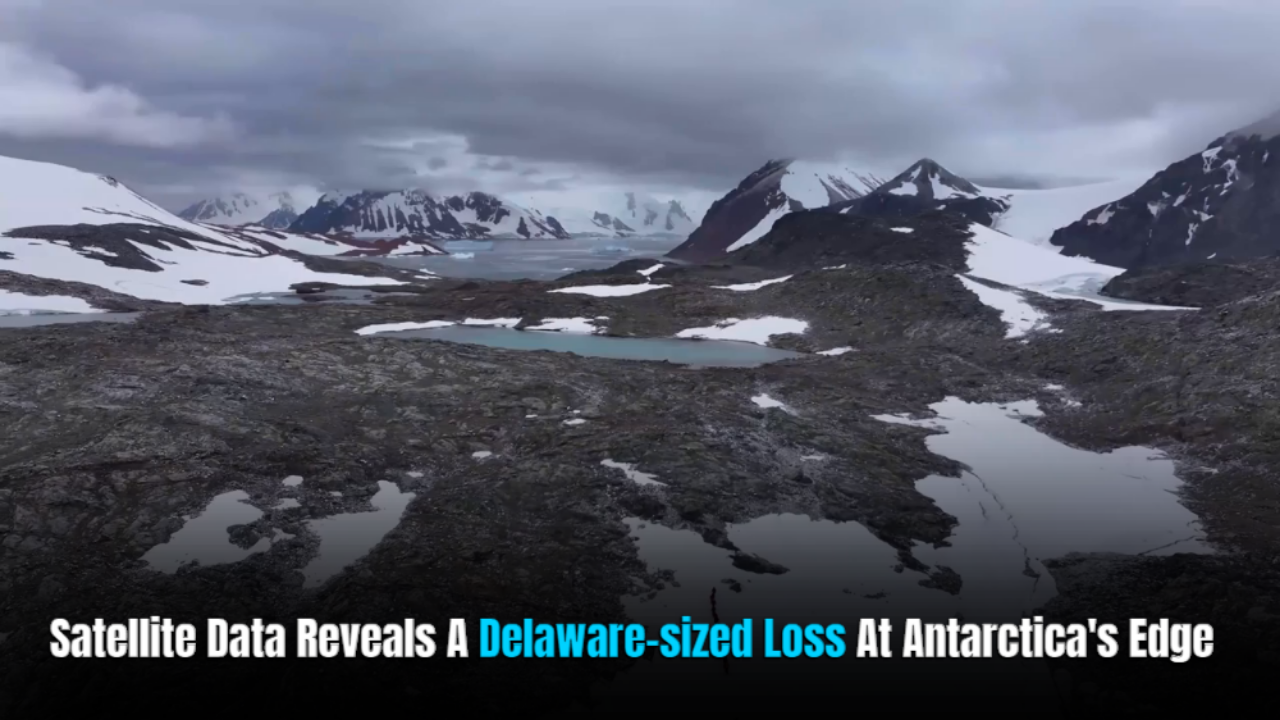 Antarctica has lost 5000 square miles of critical ice