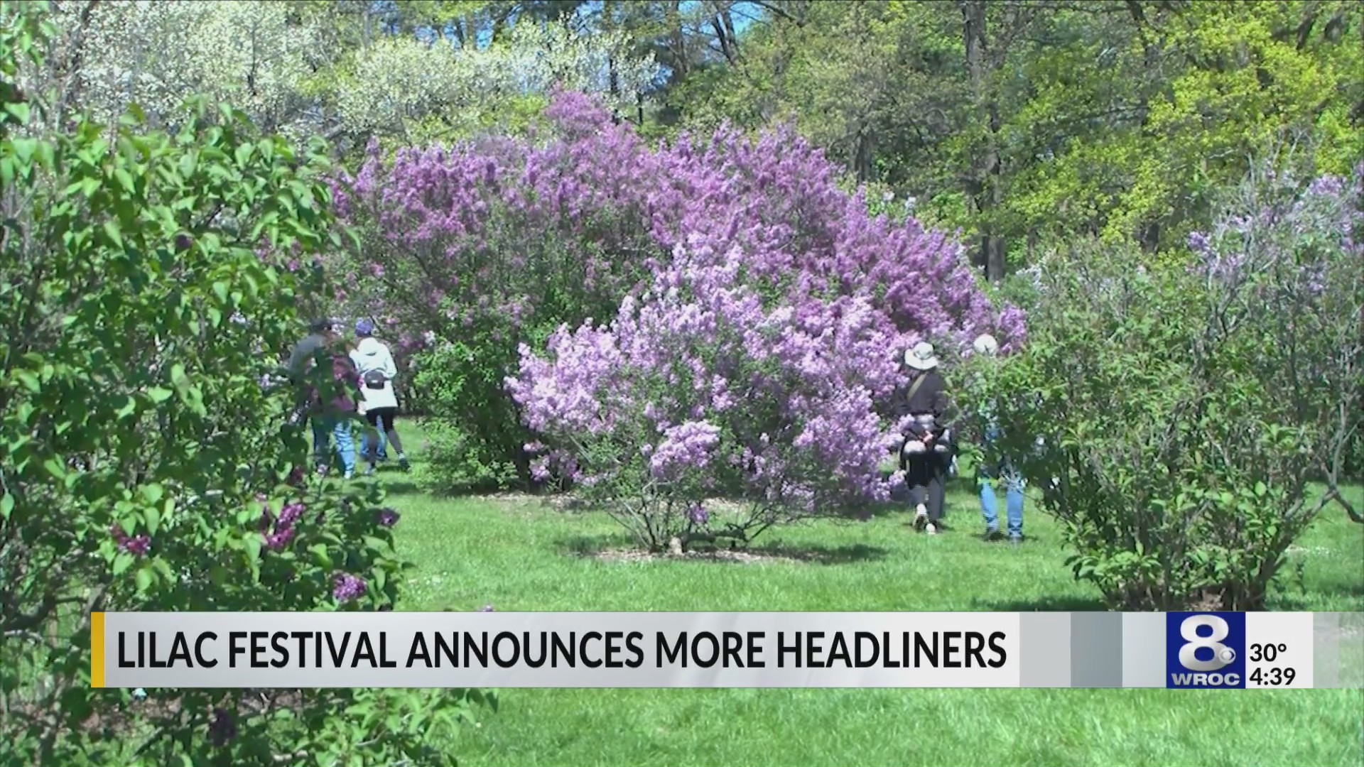 Lilac Festival 2026 full live music lineup