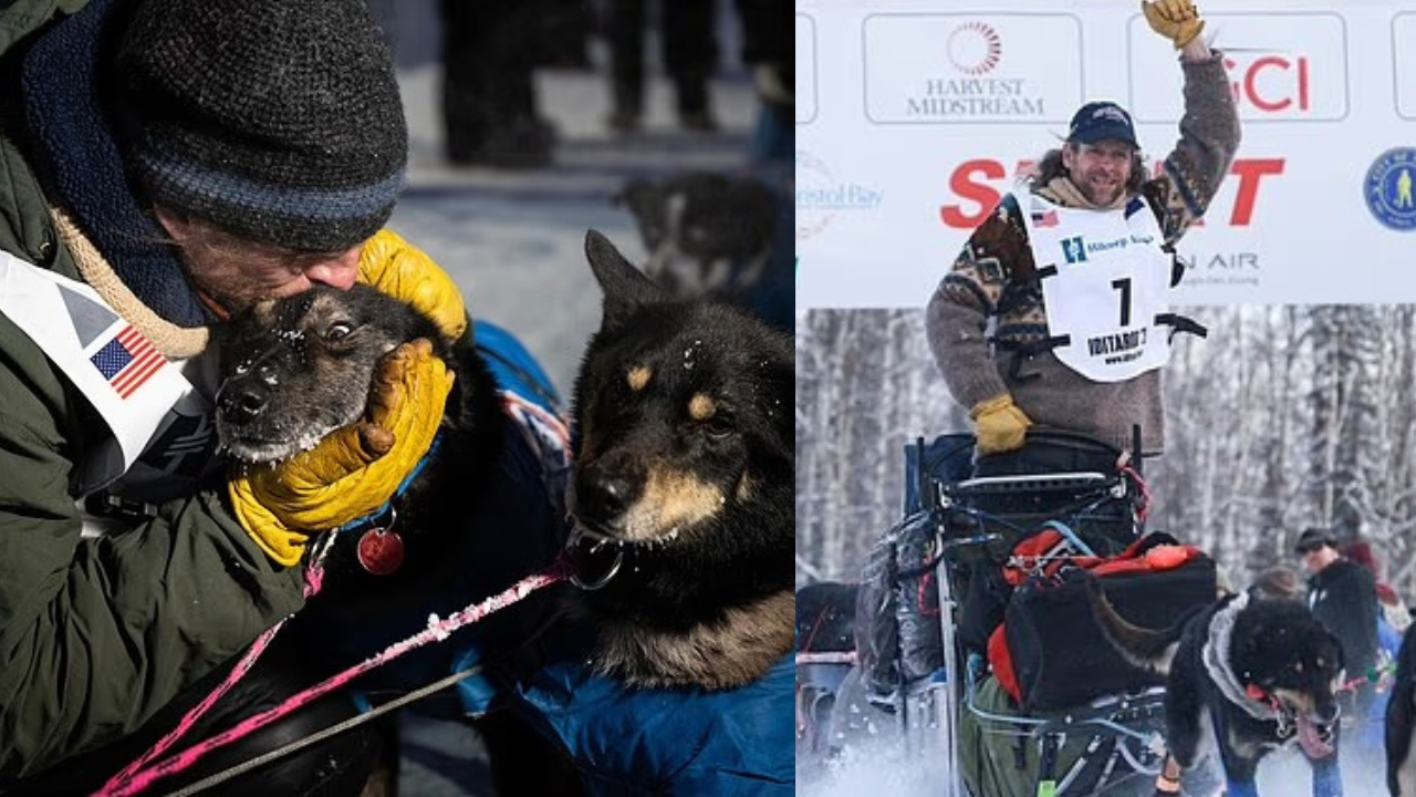 Reality TV star Jessie Holmes seals Iditarod victory as 1000 mile dog ...