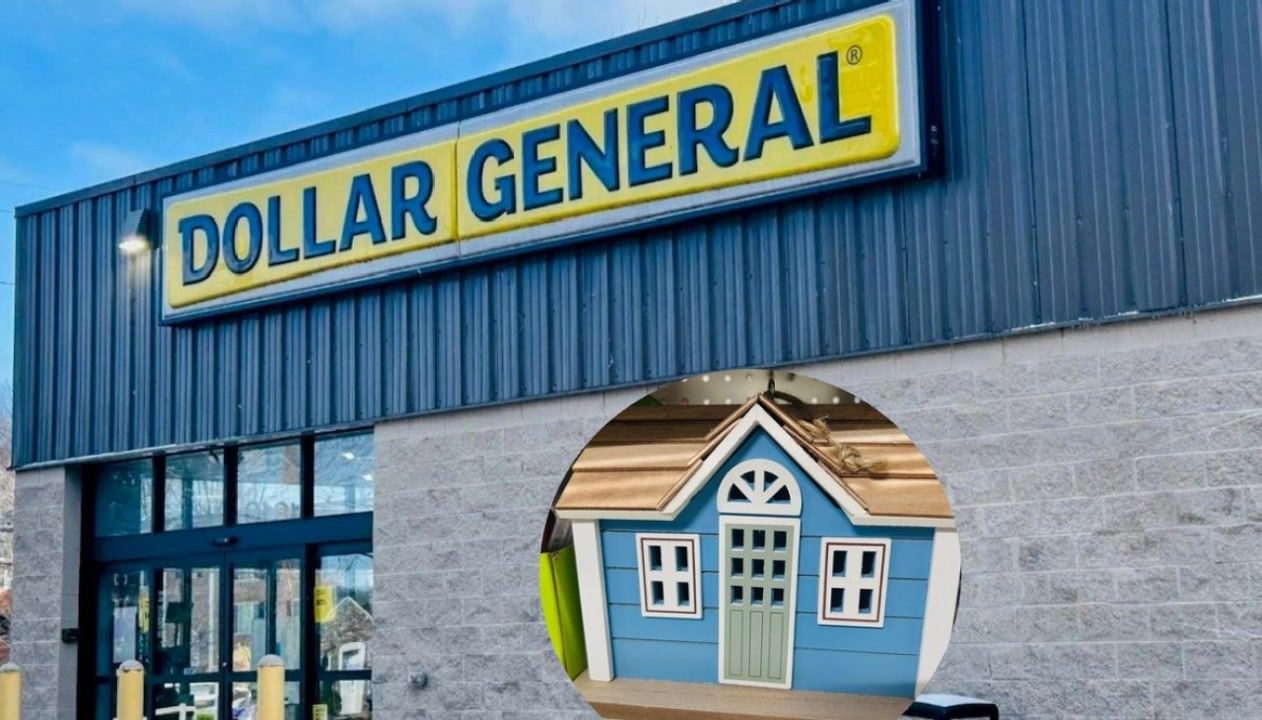 Bird lovers will flip for these Dollar General deals!