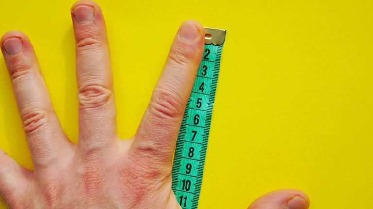 La forme de vos doigts en dit long sur votre cerveau : faites ce test ...