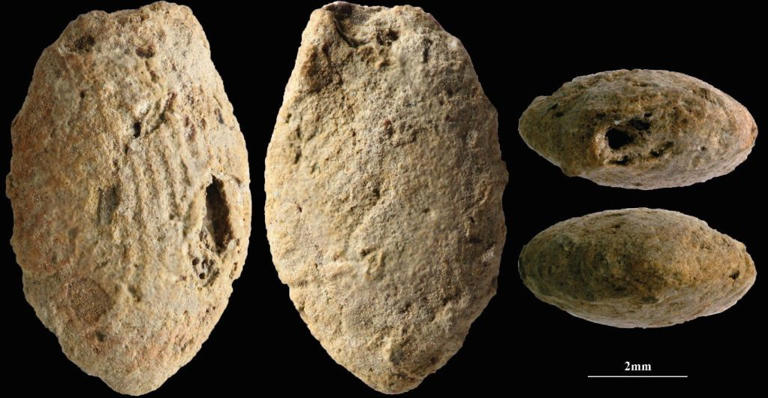 Ancient fingerprints reveal children shaped clay 15,000 years ago