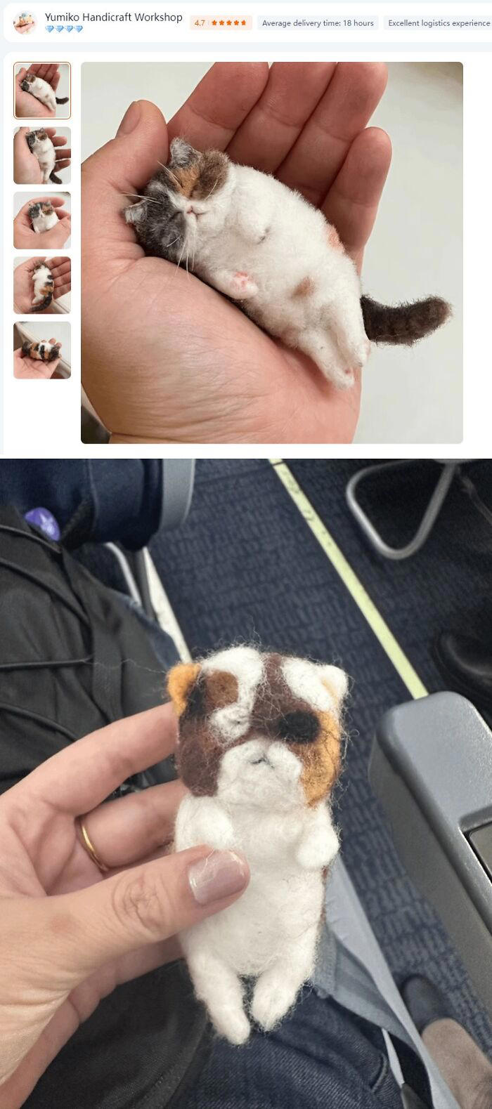 Expectations vs reality: 49 Temu and Aliexpress fails
