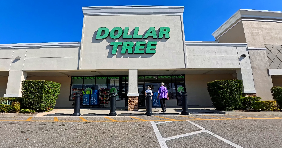 11 best Dollar Tree items to resell and make money