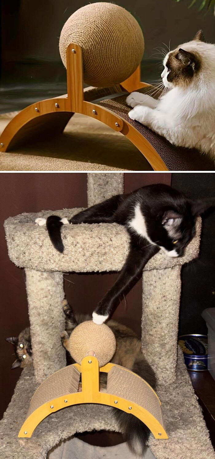 Expectations vs reality: 49 Temu and Aliexpress fails
