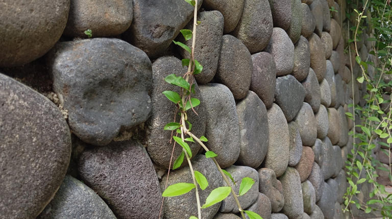 12 best stones to use for a stunning front yard fence