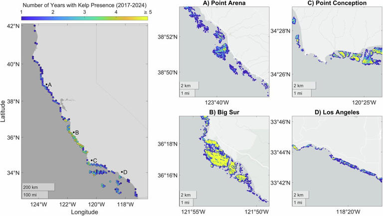 How AI deep learning is helping scientists protect California's coastal ...