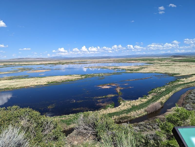 This 50-mile wildlife refuge in Oregon is home to over 320 species of birds