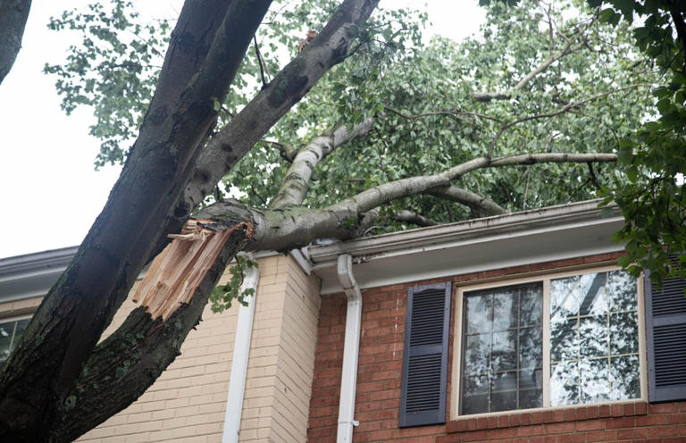 The 7 best home insurers for claims handling in 2026 -- and the worst ones