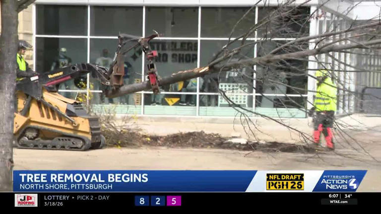 'Down to the stump:' Trees removed outside Acrisure Stadium for NFL draft